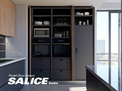 Salice Exedra Pocket Door System